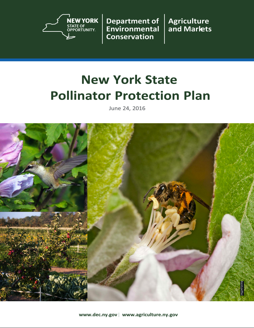 Adirondack Pollinator Project — AdkAction
