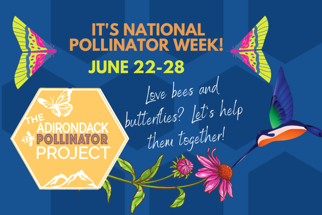 National Pollinator Week — AdkAction