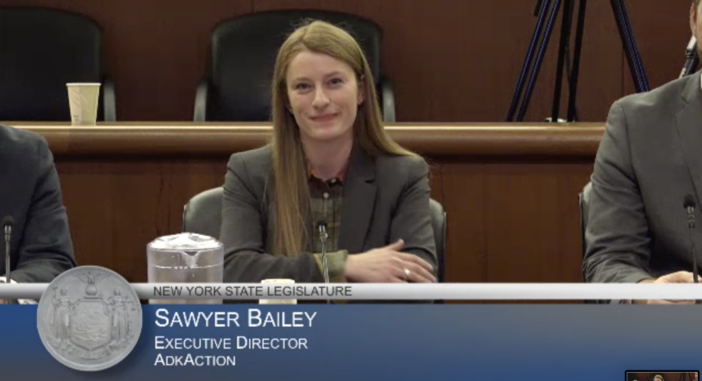 Executive Director Sawyer Bailey Testifies Before NYS Senate & Assembly ...