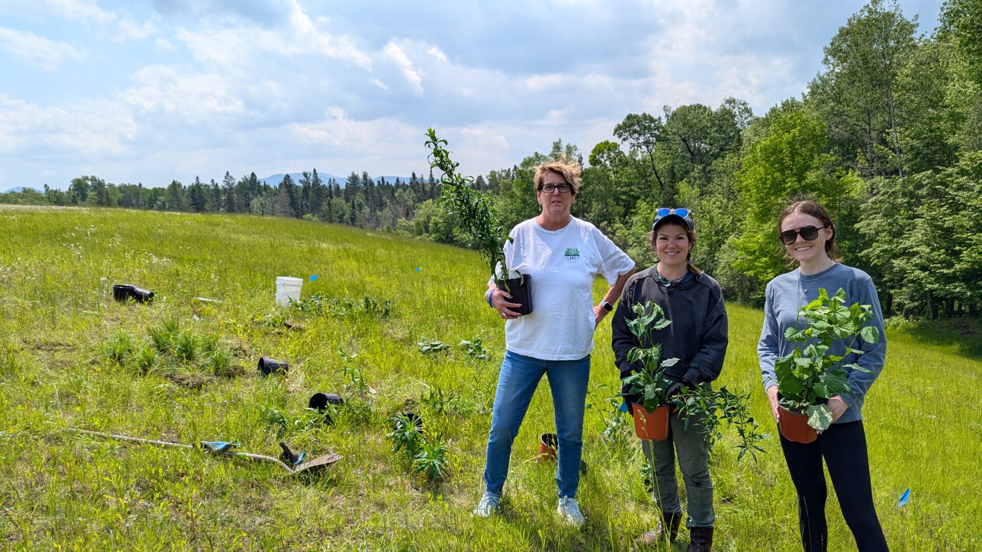 What a Dump! Reviving the Indian Lake Landfill as a Pollinator Paradise ...