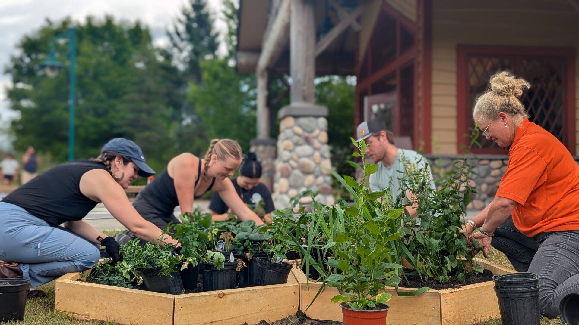 New Pollinator Gardens Installed at High Peaks Rest Areas — AdkAction